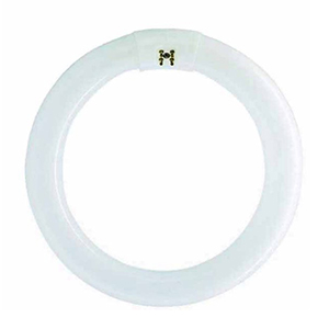 Fluorescent tubes | First Light